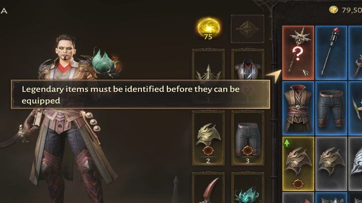 Diablo Immortal Items How To Identify Gamepressure